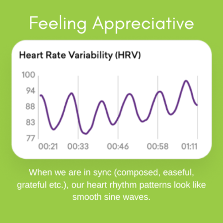 HeartMath Inner Balance™ Coherence PLUS Device – The Functional Perspective Store