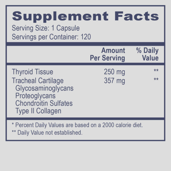 Eco Thyro 250 – 120 capsules – The Functional Perspective Store